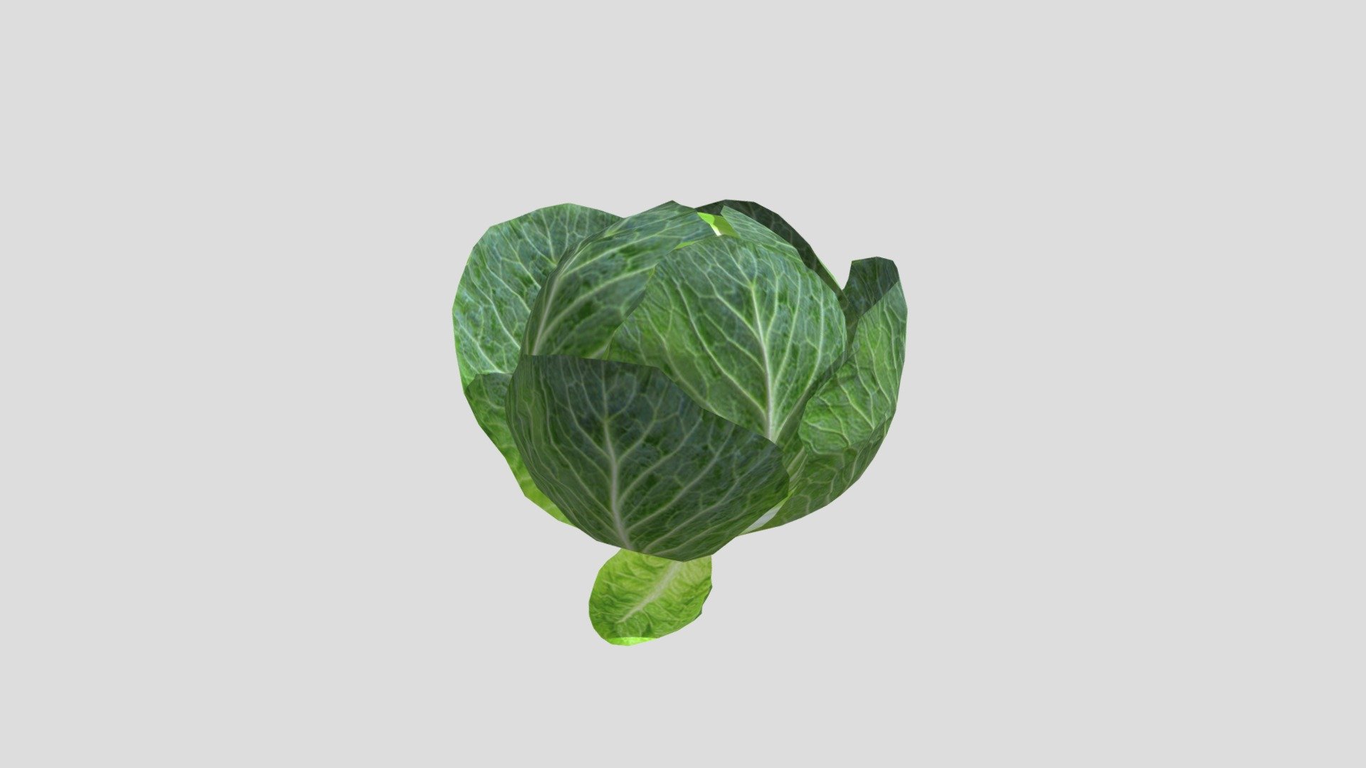 Cabbage - 3D model by Howard Chan (@howardchan007) [6bfba19] - Sketchfab