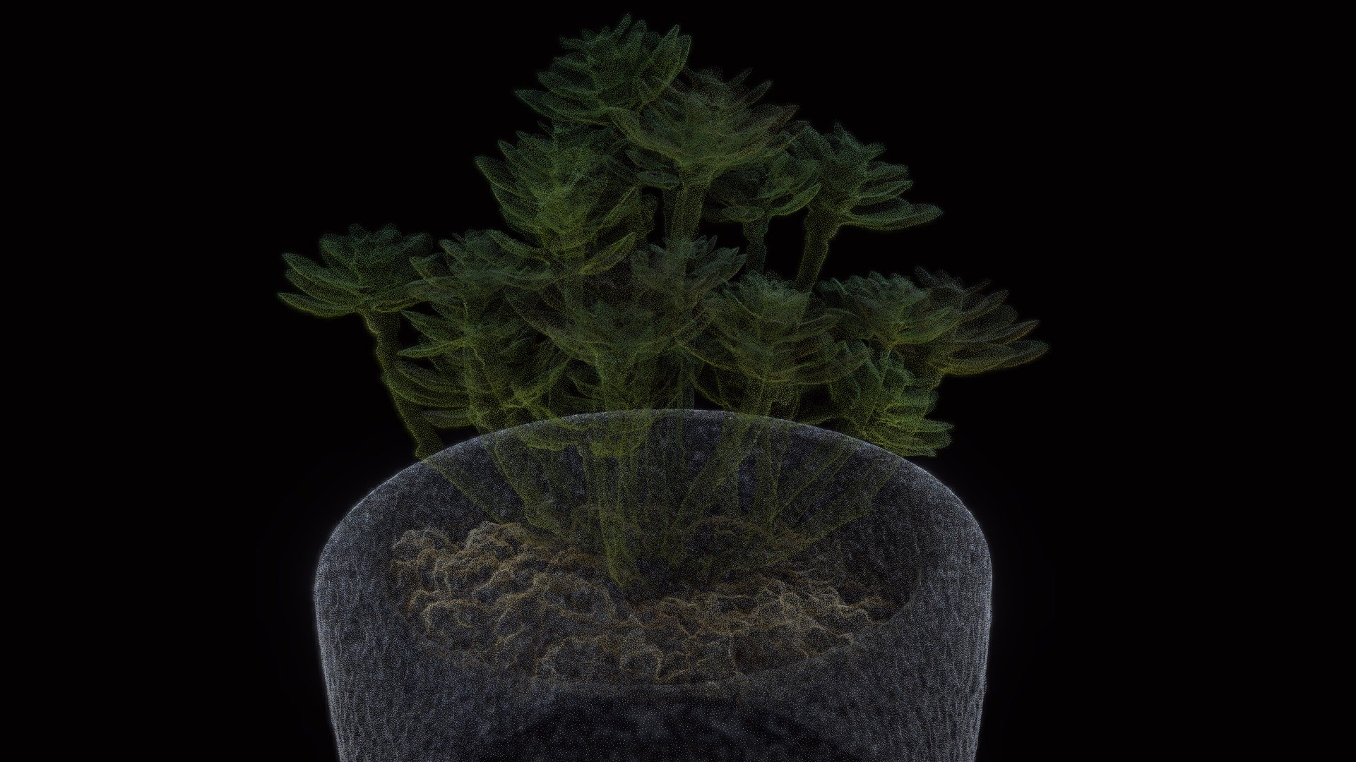 Planta RC - Point Cloud Demo Tecnica - Download Free 3D model by ...
