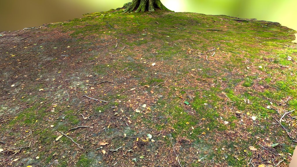 Mossy Ground - 3D model by Paul (@paul3uk) [6bff477] - Sketchfab
