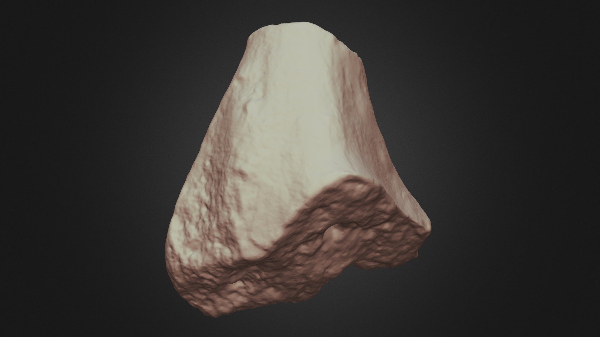 Unidentified Bone - Download Free 3D model by Lakehead Anthropology ...