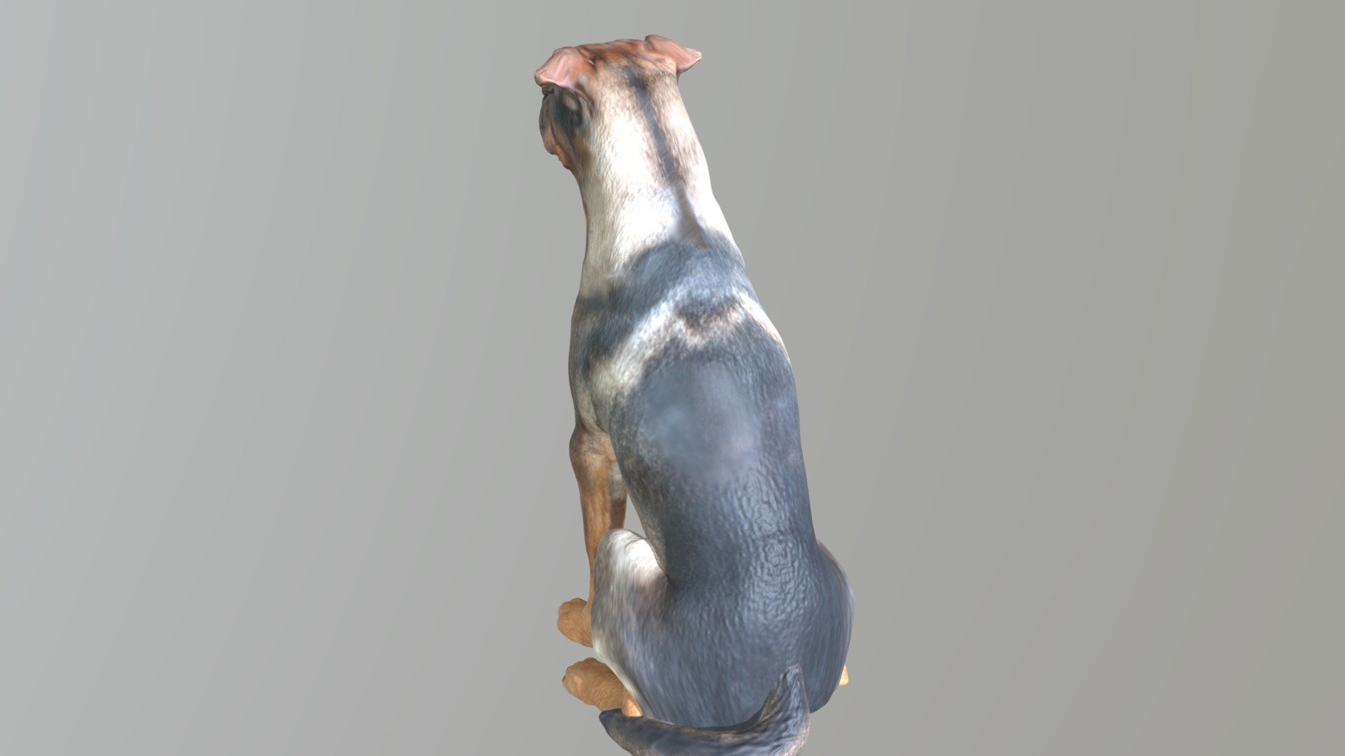 1907002- Bilbo- Shar Pei - 3D model by Arty Lobster - Pet Sculptures ...