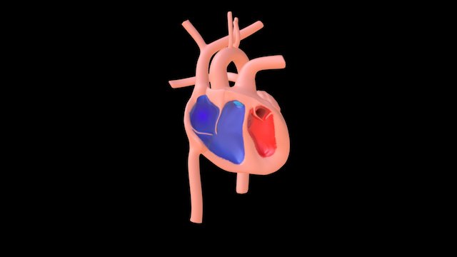 Heartanimation 3D models - Sketchfab