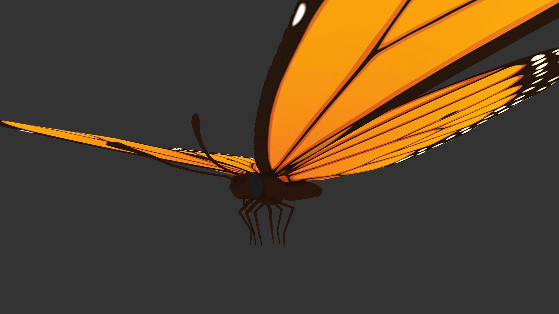 Butterfly - 3D model by suchada.kha [6c1bfc8] - Sketchfab