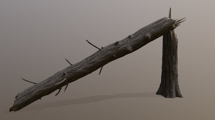 Dead-tree 3D models - Sketchfab