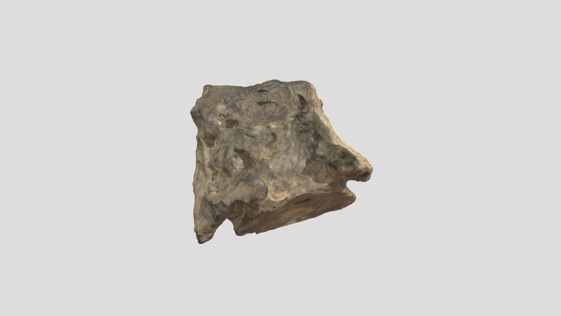 V4966 Mastodon Sacral Vertebrae (VCU_3D_5117) - Download Free 3D model ...
