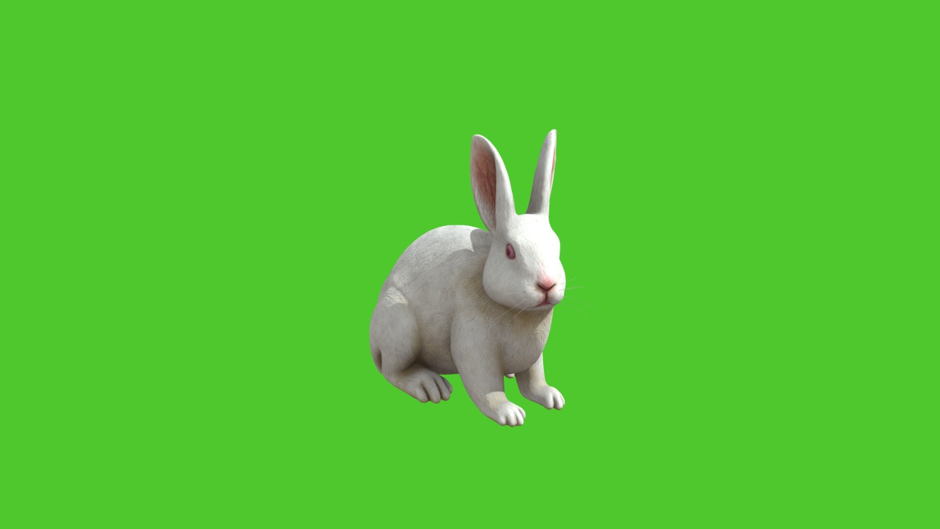 rabbit - Download Free 3D model by tech.service.allwe [6c298df] - Sketchfab