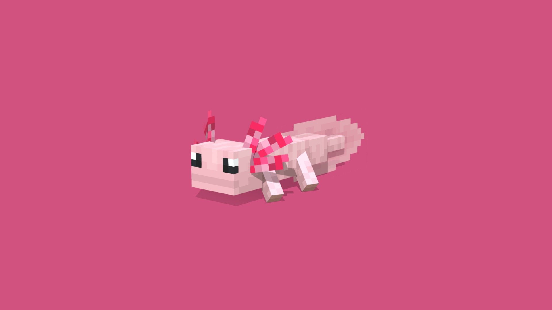 Axolotl - 3D model by MOSKA (@moska_design) [6c3daec] - Sketchfab
