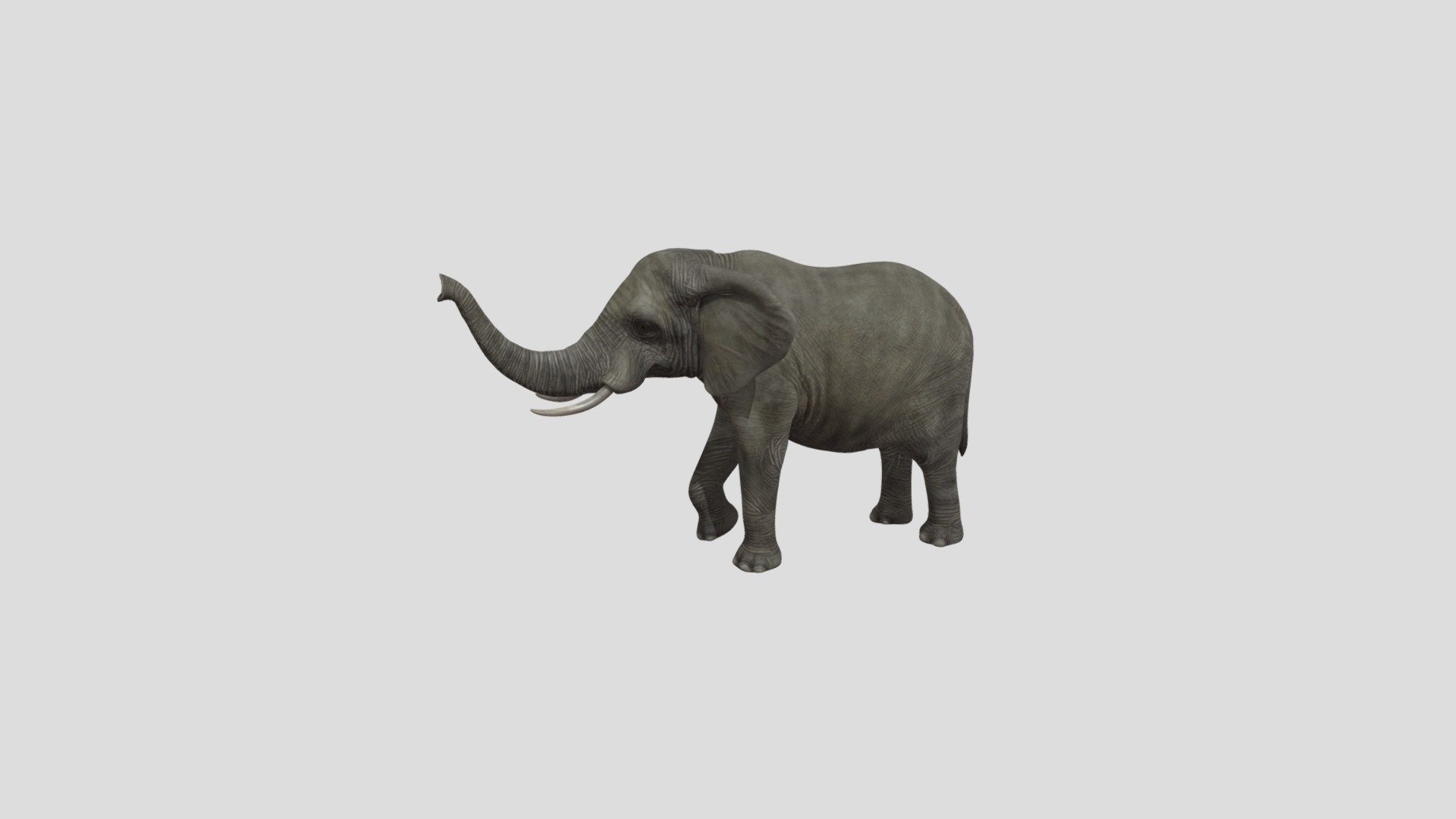 Gajah - 3D model by anditaputri.2021 [6c424b4] - Sketchfab