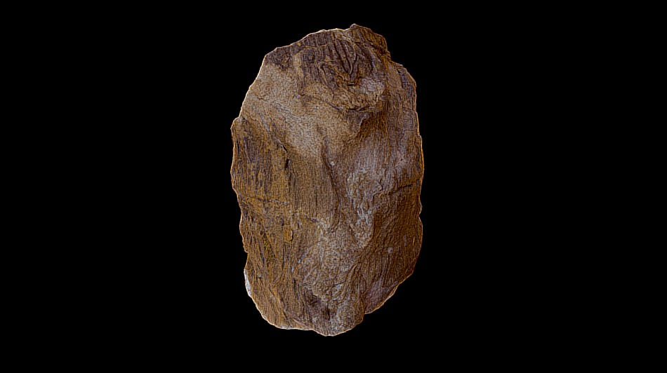 Equisetites - Capitol Reef National Park - 3D model by American ...