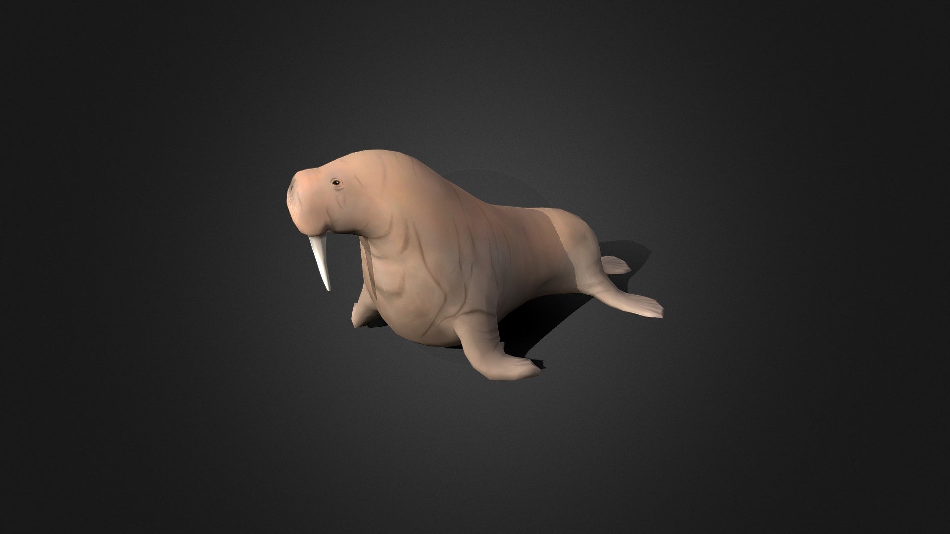 Walrus - Buy Royalty Free 3D model by 3D-IDI (@paduladi) [6c48d89 ...