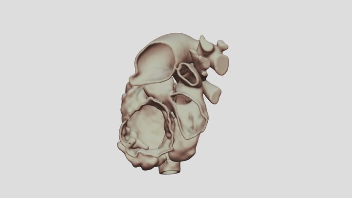 Chd 3D models - Sketchfab