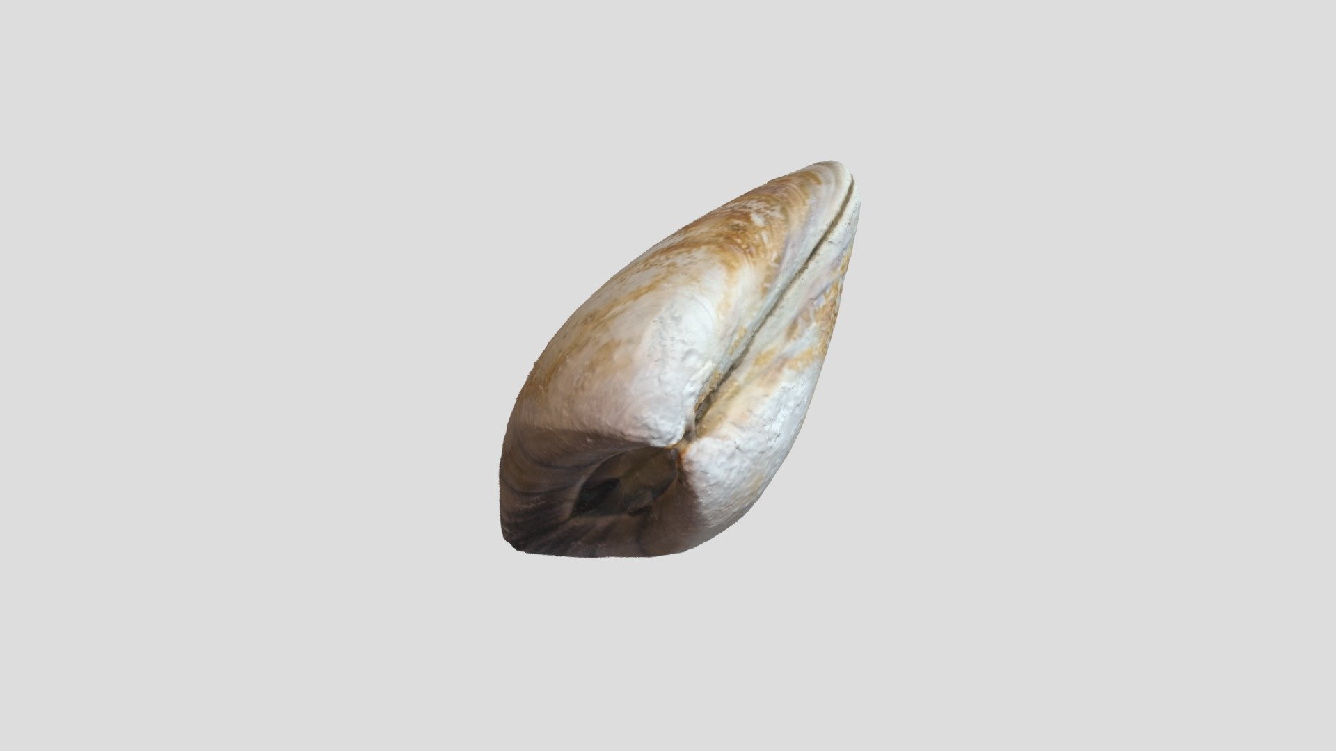 pismo_2 - Download Free 3D model by seangreene [6c4d7c9] - Sketchfab