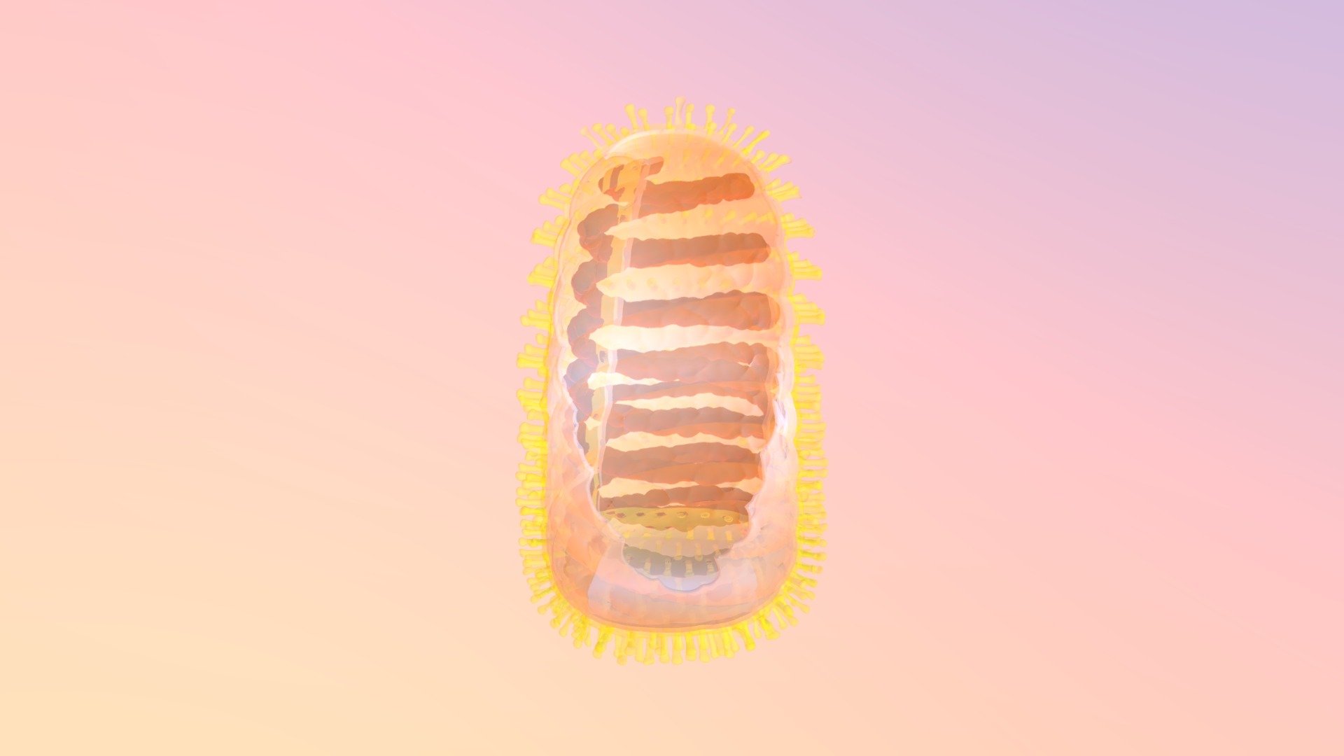 VIRUS Rabbia (RNA 05) - 3D model by Luca Mosele (@Gengis_Khan) [6c568c9 ...
