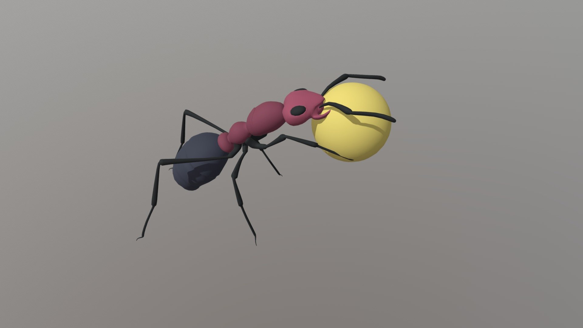 Ant - 3D model by pandi9496 [6c6186e] - Sketchfab