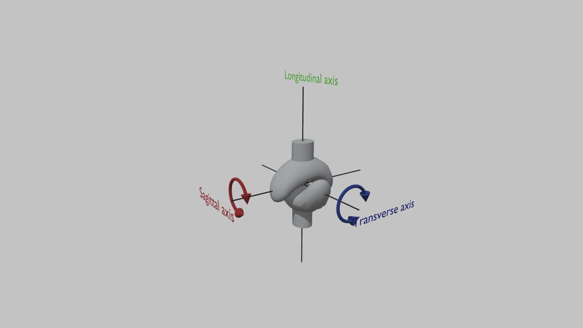 Saddle joint - 3D model by vetanatMunich [6c6b892] - Sketchfab