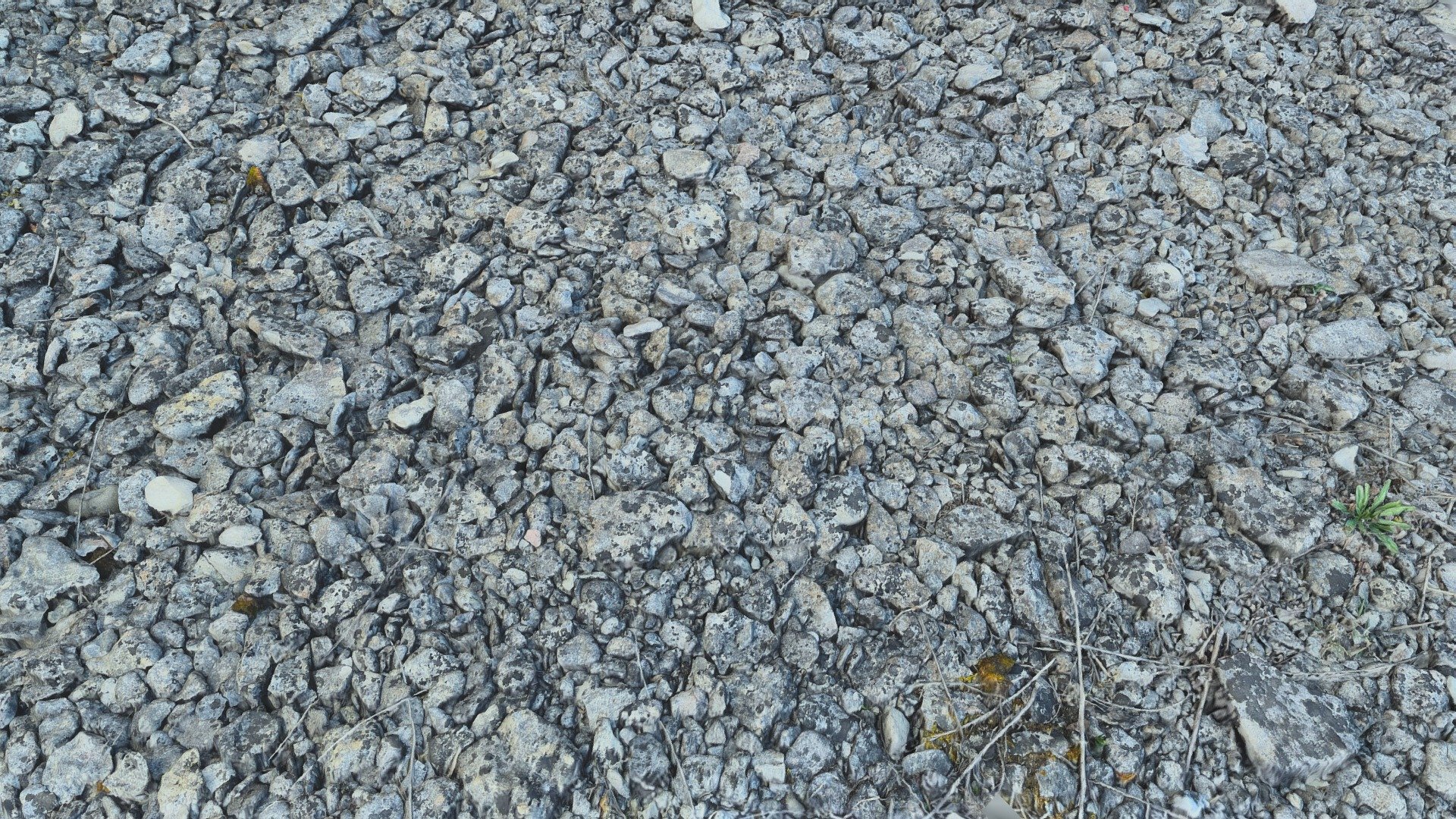 Gotland Pebble Ground - RealityScan - Download Free 3D model by Wiktor ...