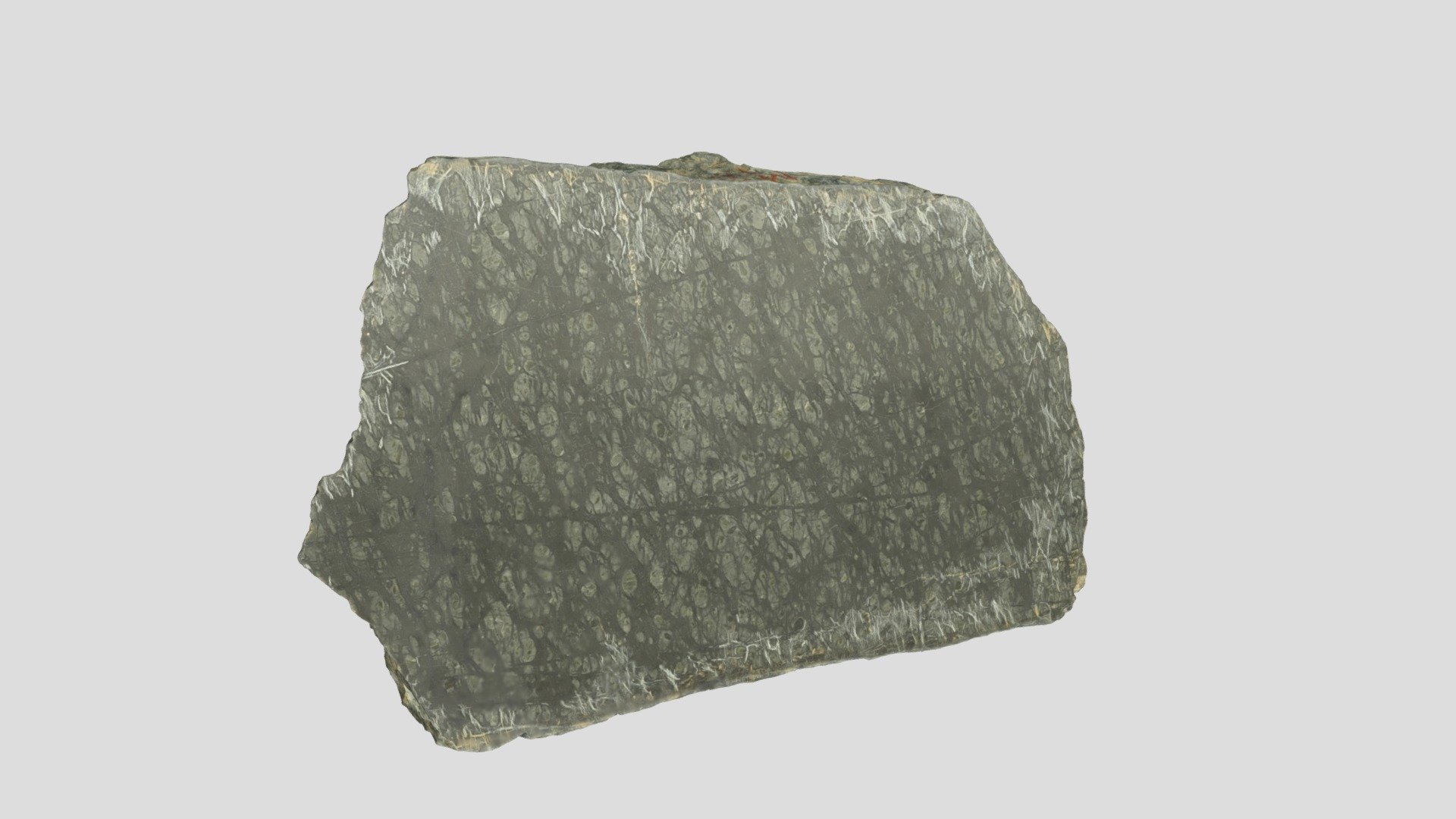 Protomylonitic, partly serpentinized peridotite - Download Free 3D ...