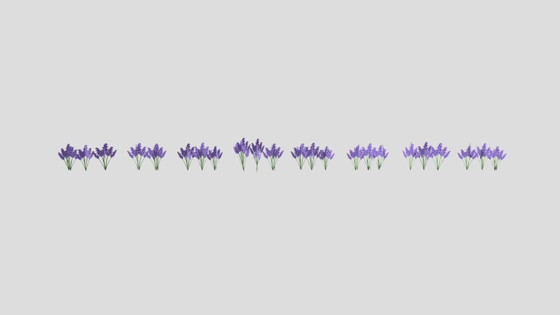 Lavanda - Download Free 3D model by energyinbasilicata [6c705f9 ...