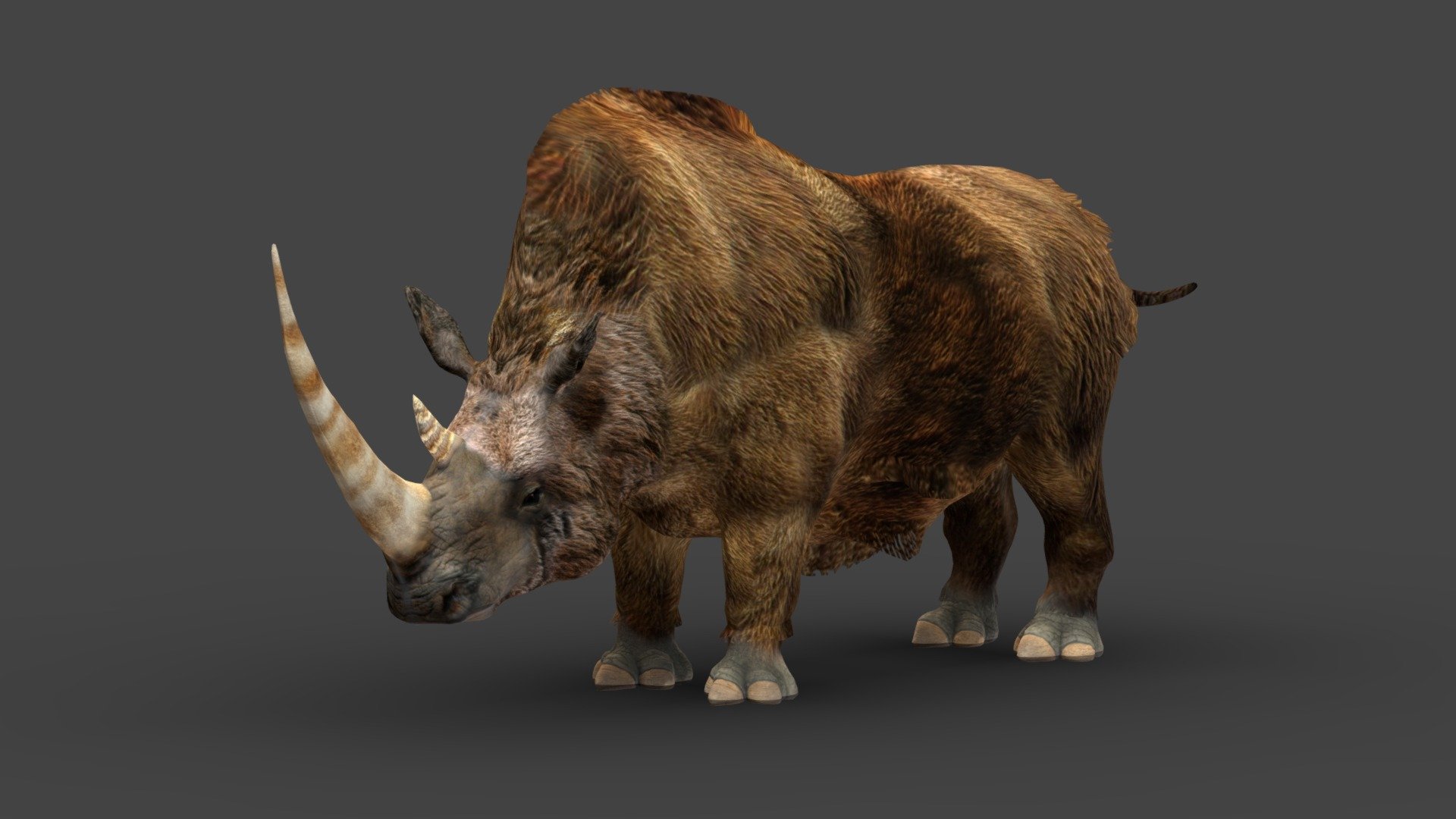 Woolly Rhinoceros - Rigged - Buy Royalty Free 3D model by Iofry ...