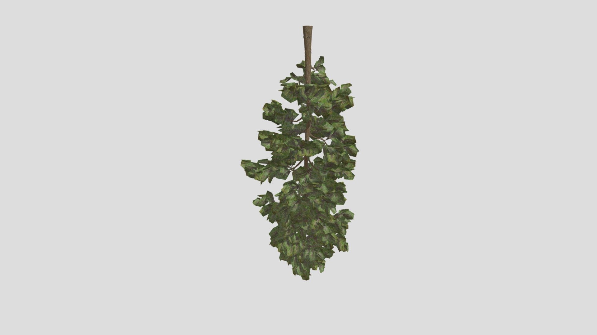 Green tree 3d model for free - Download Free 3D model by Dark Moon ...