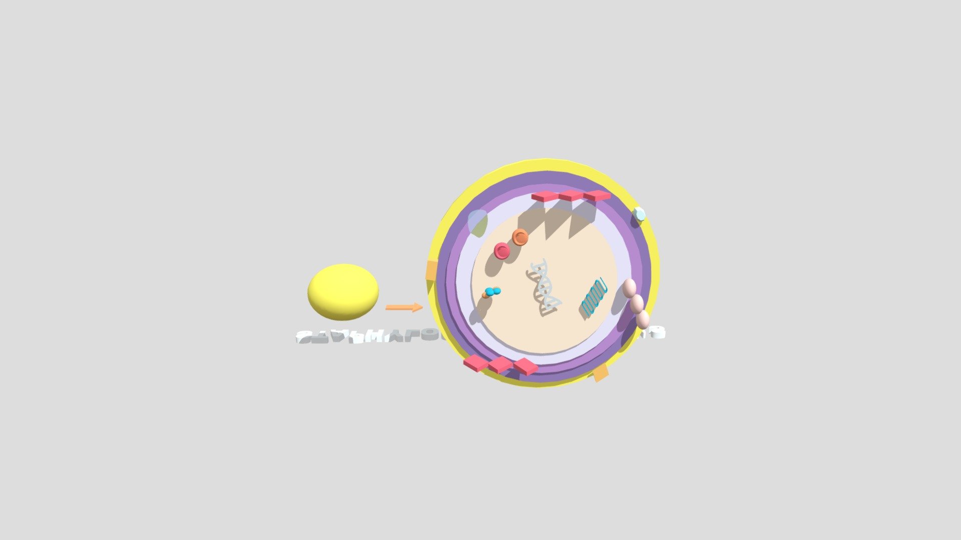 MICROUGHS_staphylococcus aureus_ADVV_CMR_NPA - Download Free 3D model ...