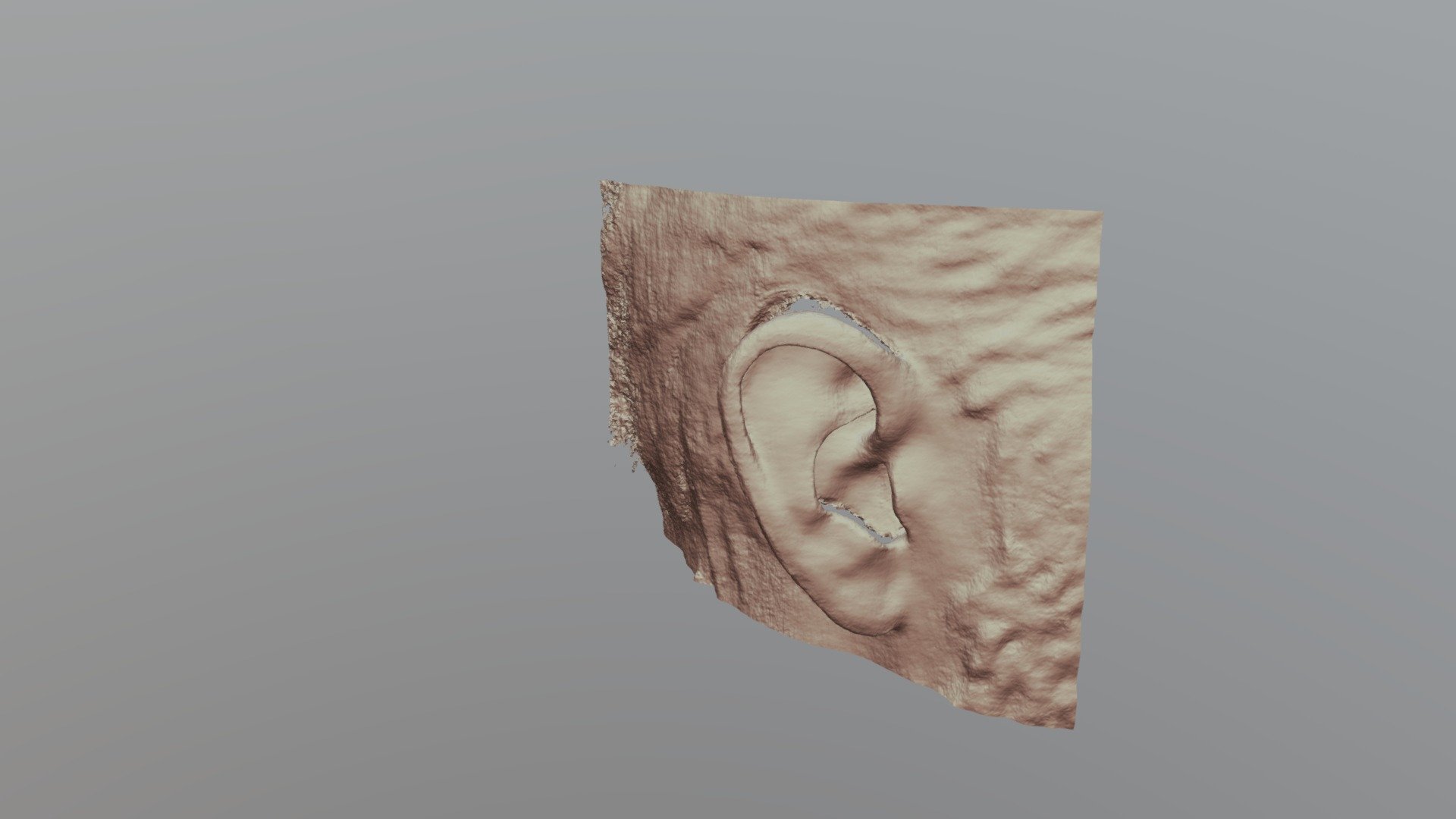My ear - Download Free 3D model by hcwiley [6c88cd4] - Sketchfab