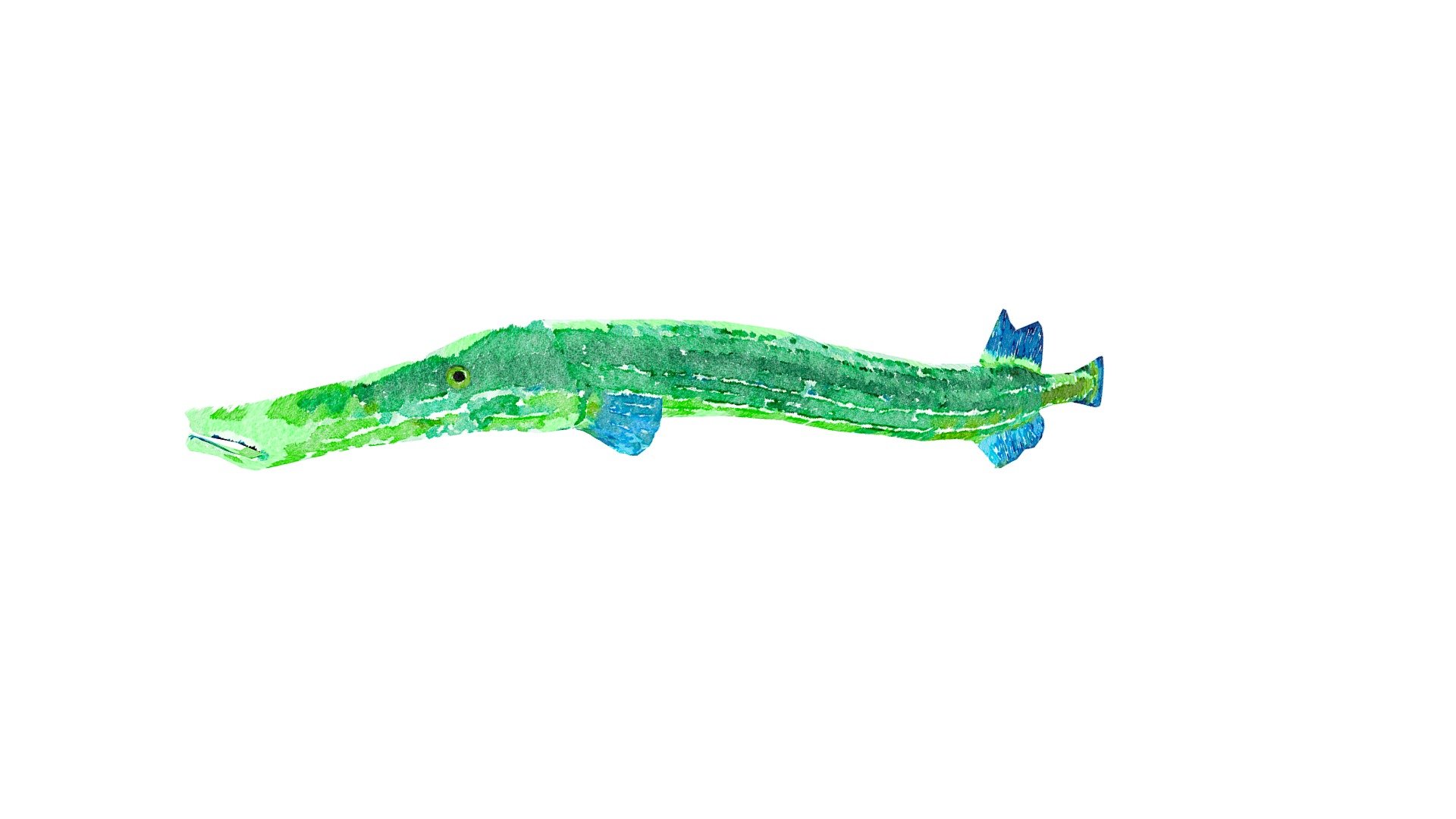 Trumpetfish Illustration - 3D model by josluat91 [6c8af5e] - Sketchfab