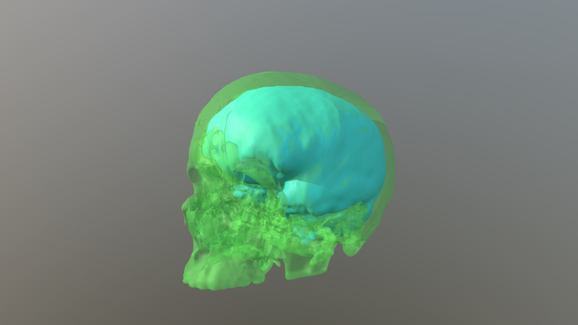 Skull and Brain - 3D model by parkyk [6c9034a] - Sketchfab
