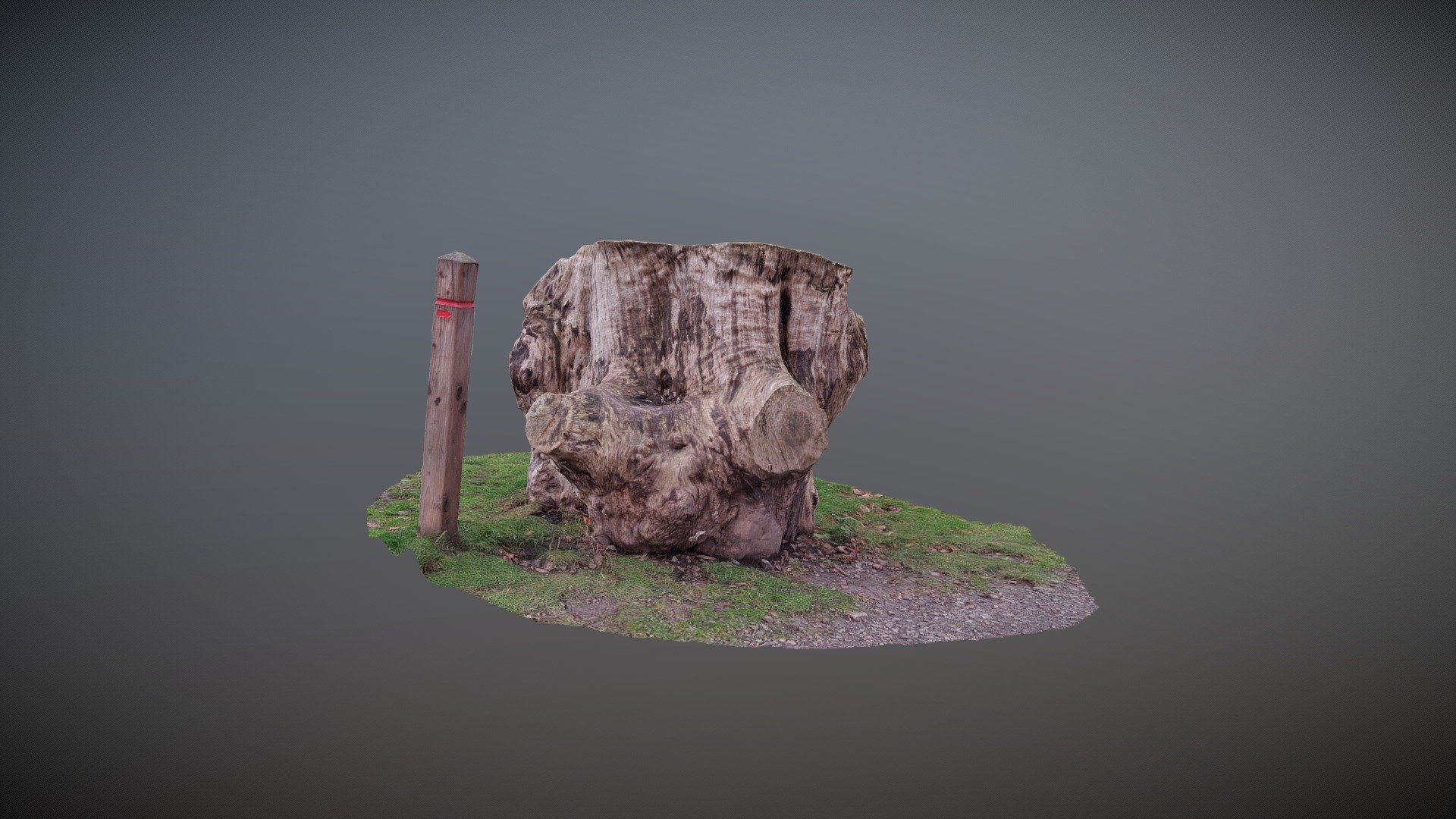 Tree Stump Navigation - 3D model by kelvor [6c94c03] - Sketchfab