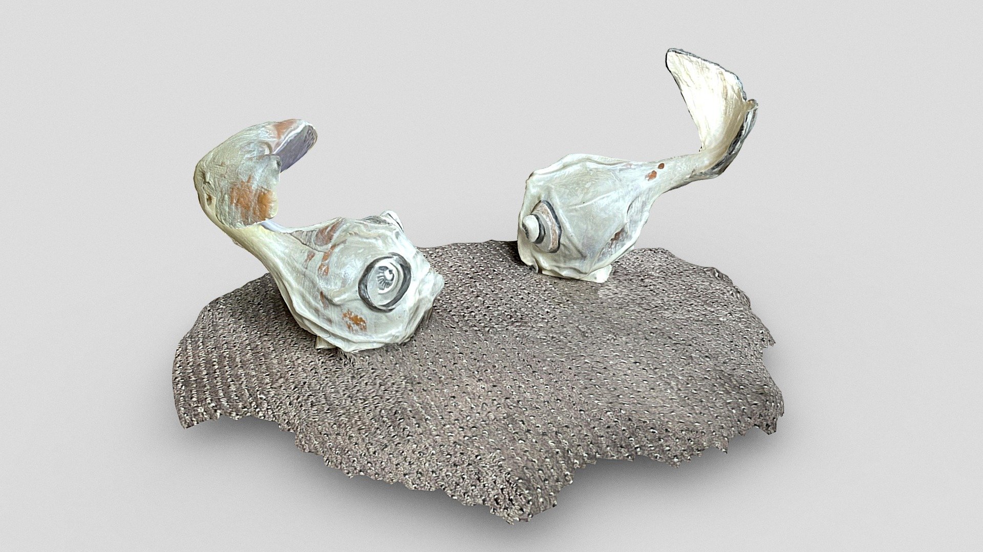 Two fish (photogrammetry scan w. Trnio) - Download Free 3D model by Emm ...