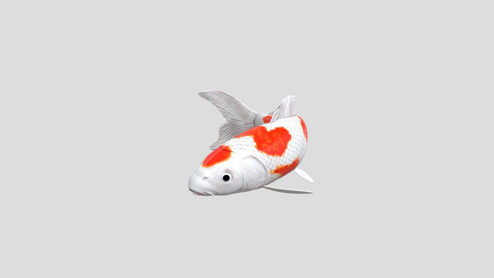 Ikan Koi - Download Free 3D model by fhri [6c9d09b] - Sketchfab