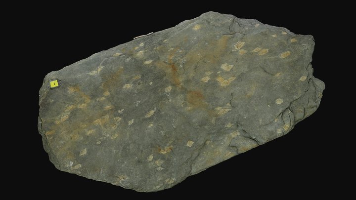 Albite 3D models - Sketchfab
