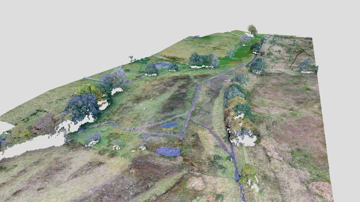 Floodplain 3D models - Sketchfab
