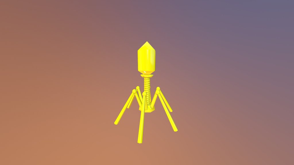 Basic Structures of Viruses - A 3D model collection by AustraCukura ...