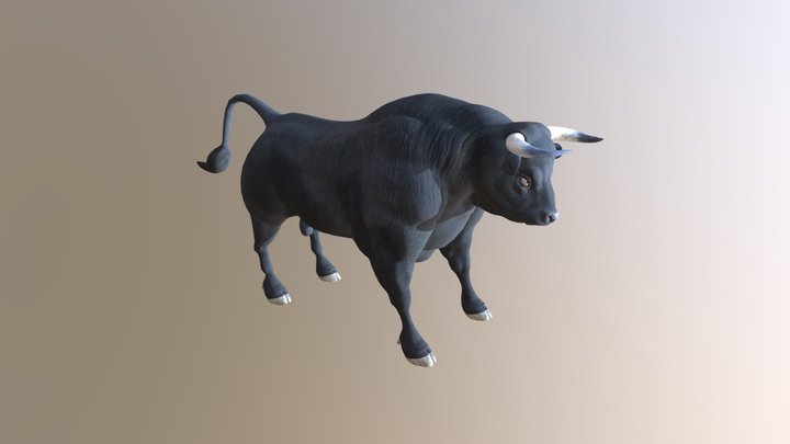 Bull 3D models - Sketchfab