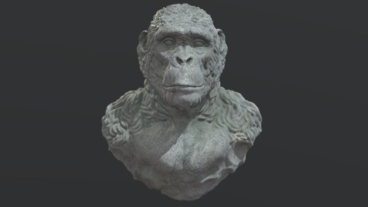 Australopithecus 3D models - Sketchfab