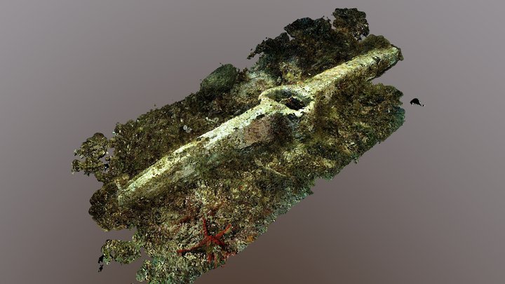 Padi 3D models - Sketchfab