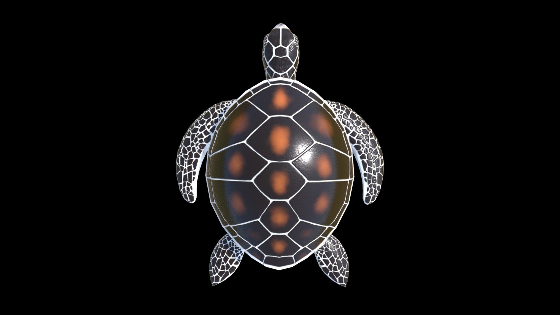 Turtle Textured - 3D model by Ryley Burnett (@ryleyburnett) [6cc5d5a ...