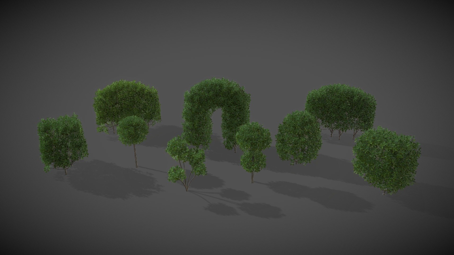 LS14 Ligustrum Vulgare (Common Privet) - Buy Royalty Free 3D model by ...