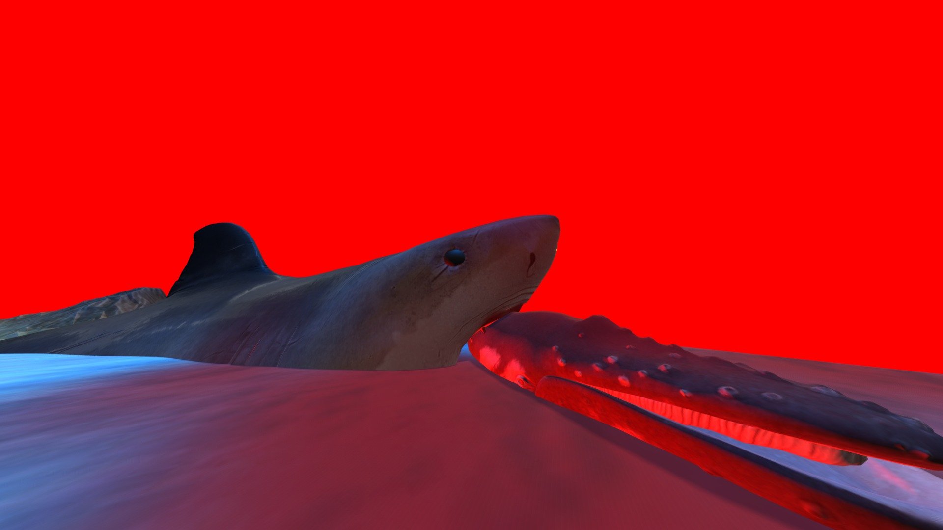 Megalodon - Download Free 3D model by Polite Cat (@PoliteCat) [6cc8ac2 ...