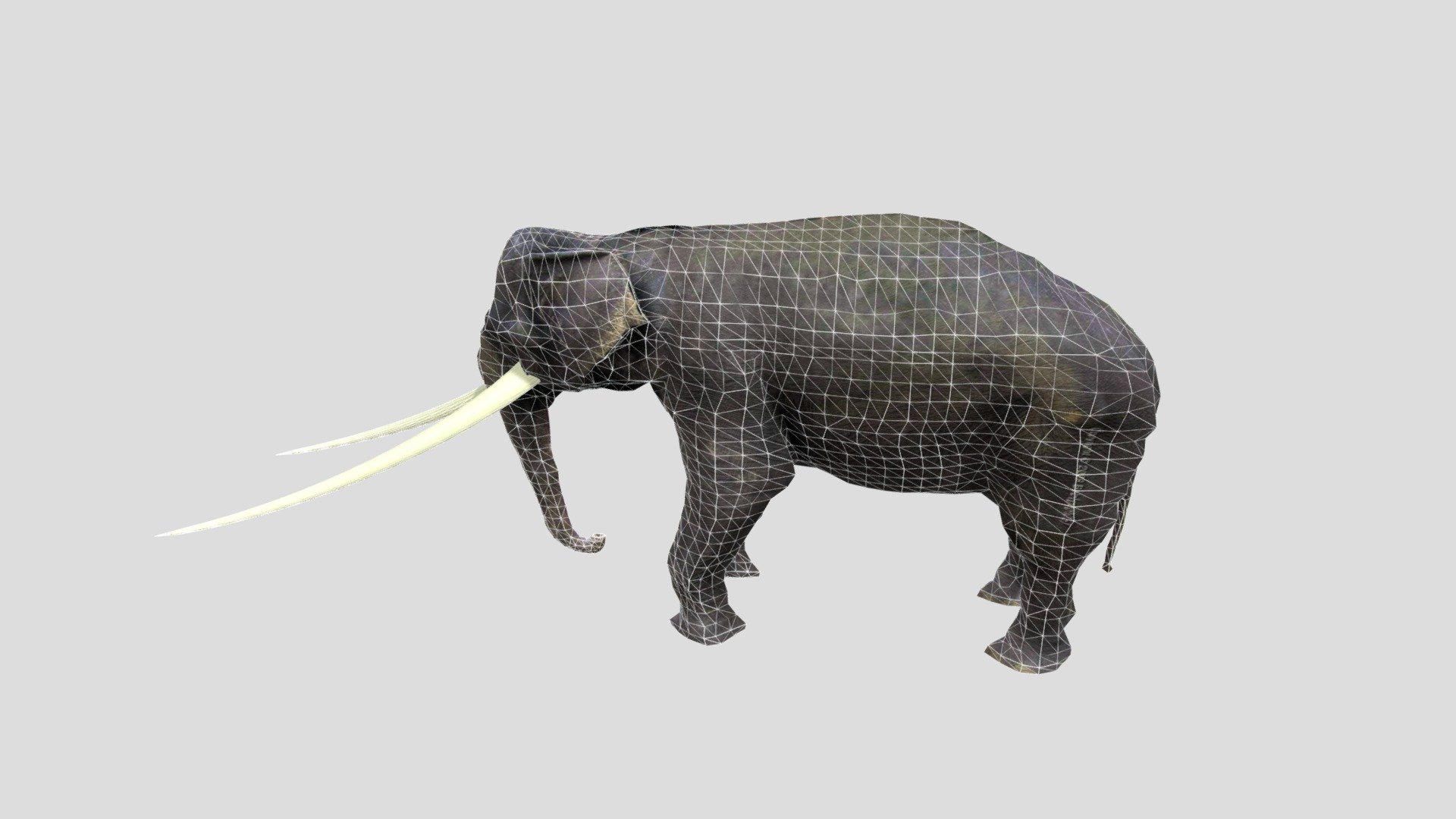 anacus - Download Free 3D model by hunter.4u88 (@hunter4u) [6cd035f ...