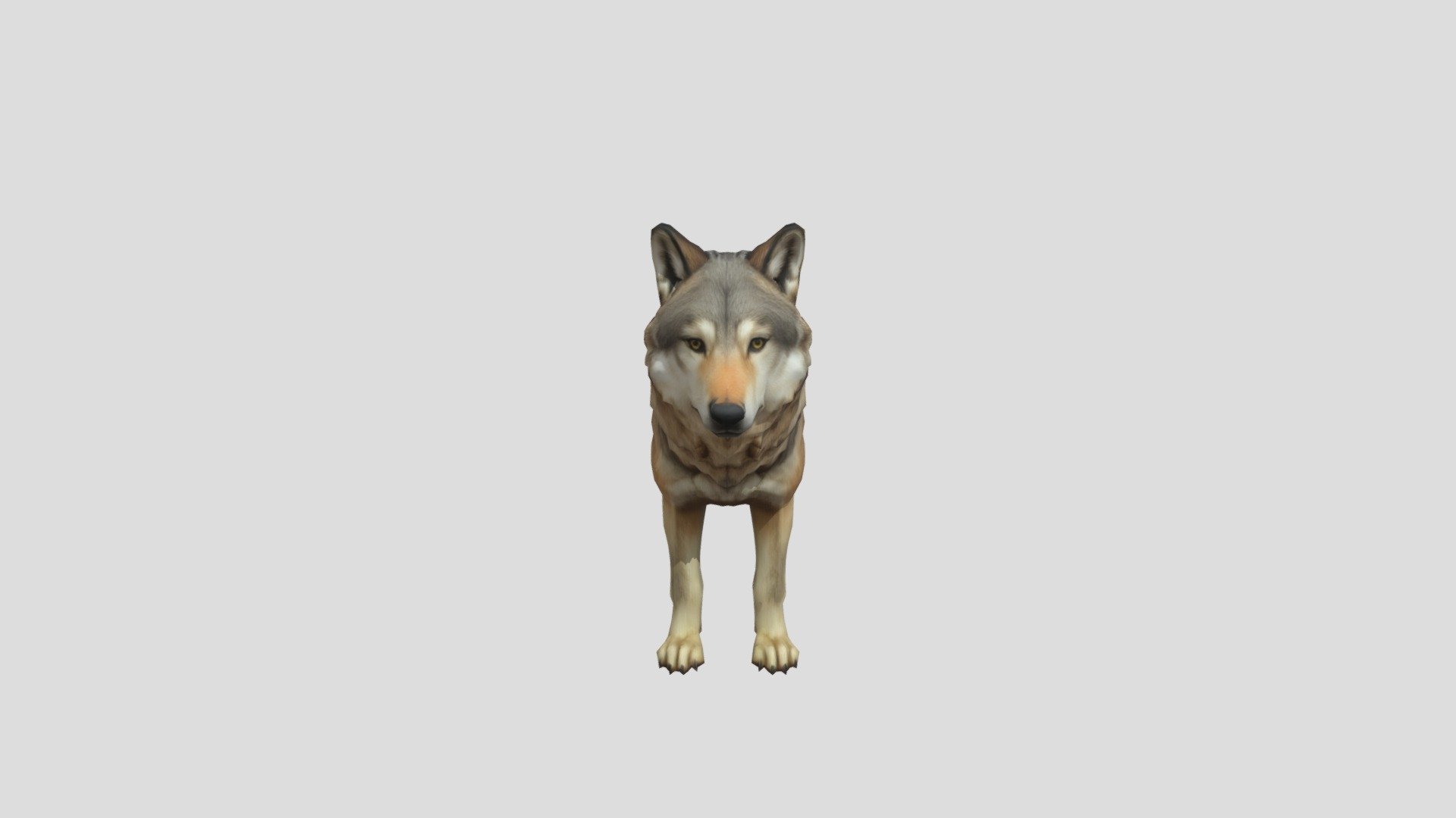 Wolf v3 - Download Free 3D model by Raven-Woods [6cd553c] - Sketchfab