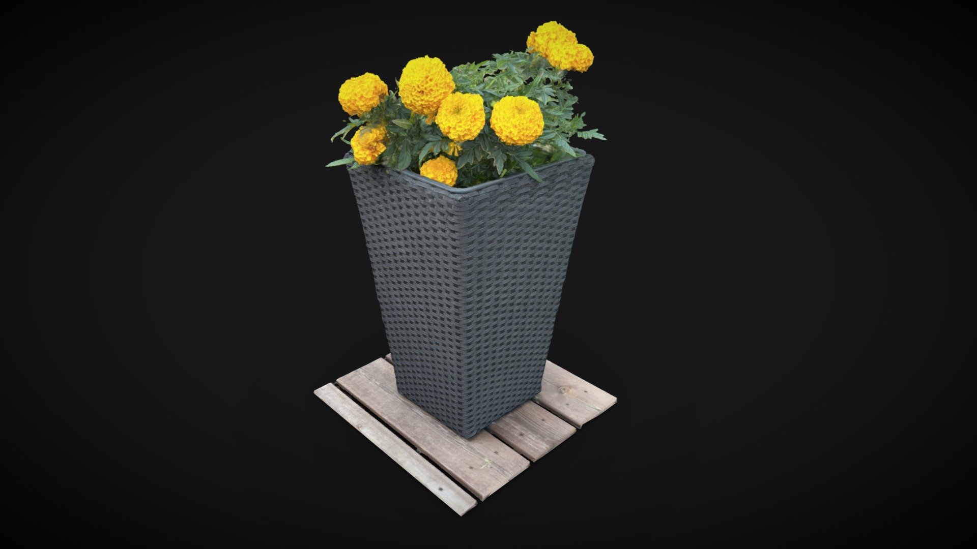 RAW Scan | Garden Flowers - Buy Royalty Free 3D model by TomTLC ...