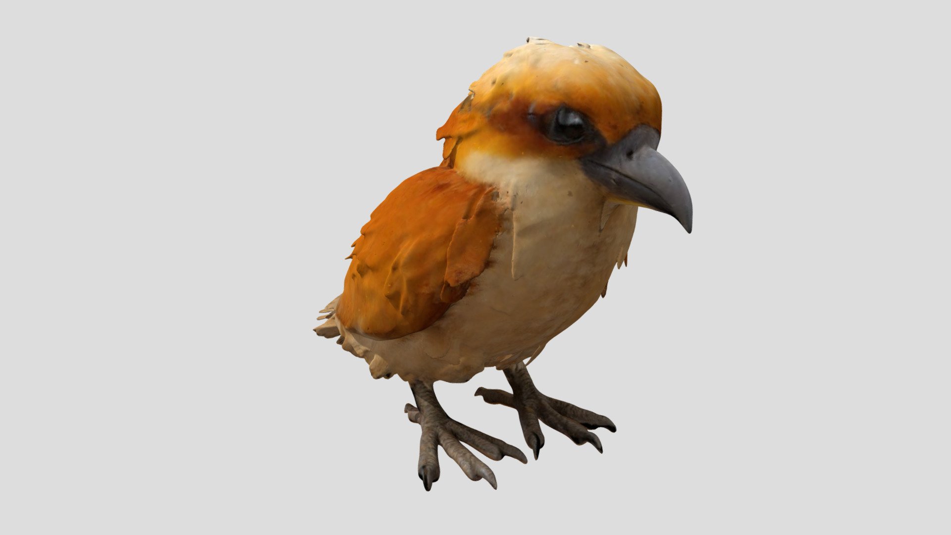 Dune Phantom - bird - Download Free 3D model by Brian Trepanier (@CMBC ...