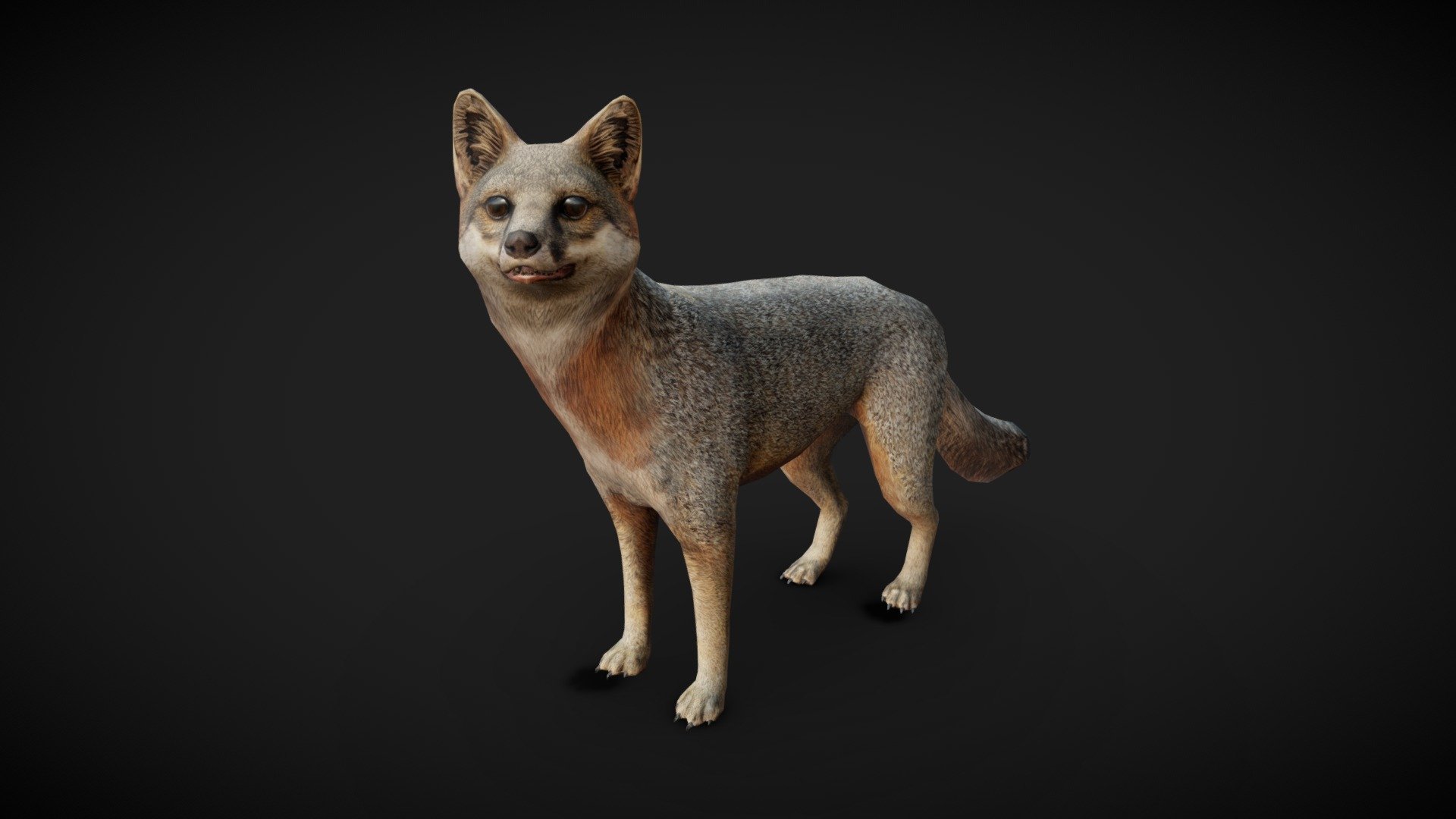 Urocyon - Urocjon - 3D model by shearaell [6ce530c] - Sketchfab