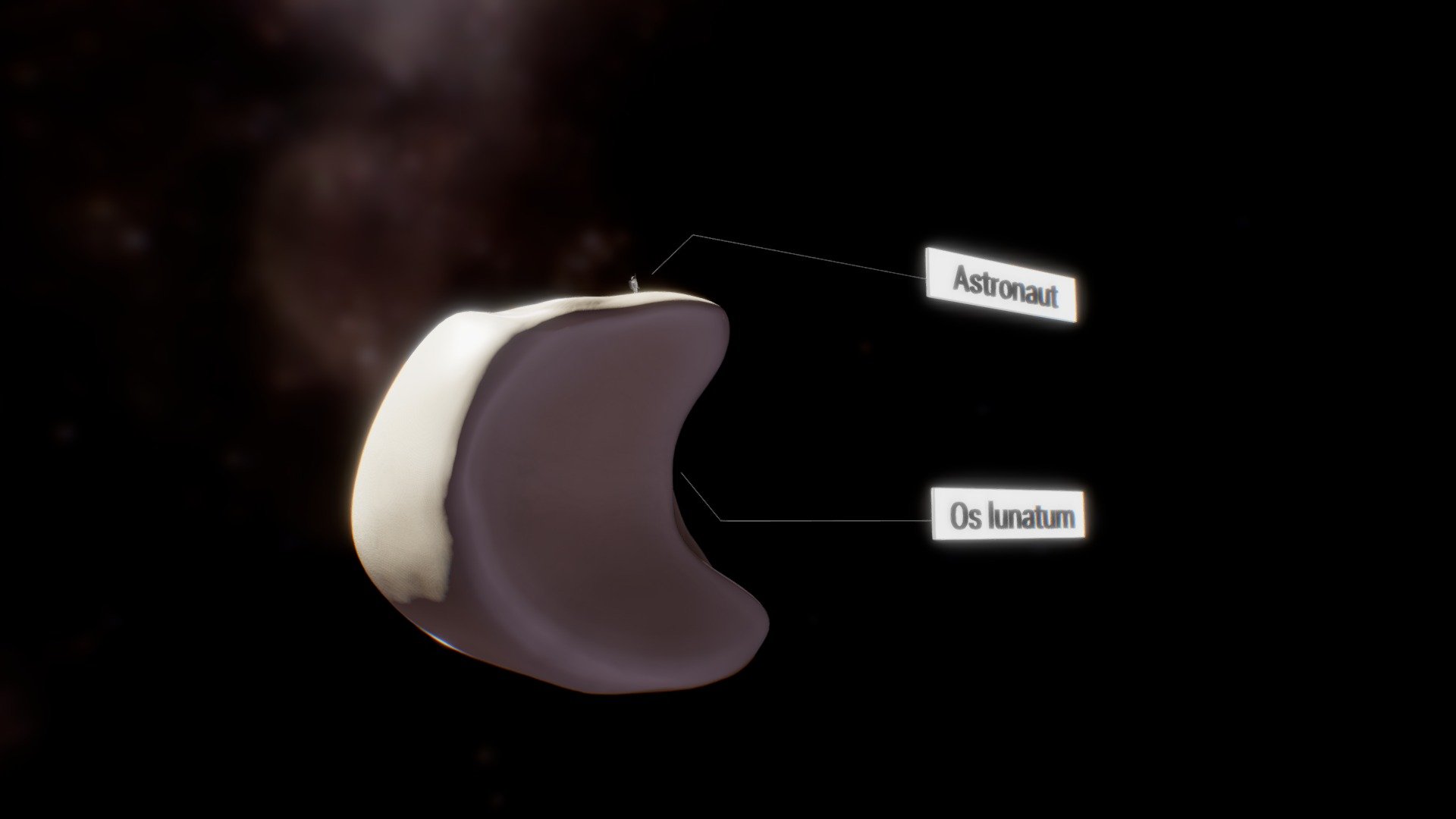 Lunar bone landing 2019 - 3D model by effigosAG [6ce7ad0] - Sketchfab
