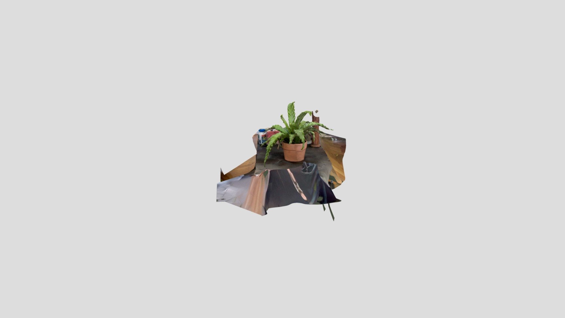 Another coffee table plant - Download Free 3D model by sophwoj [6cefe8c ...