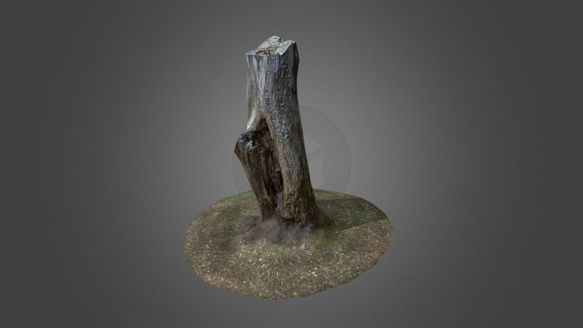 Stump 08 - 3D model by STmodels (@gravchik) [6cf1ad1] - Sketchfab