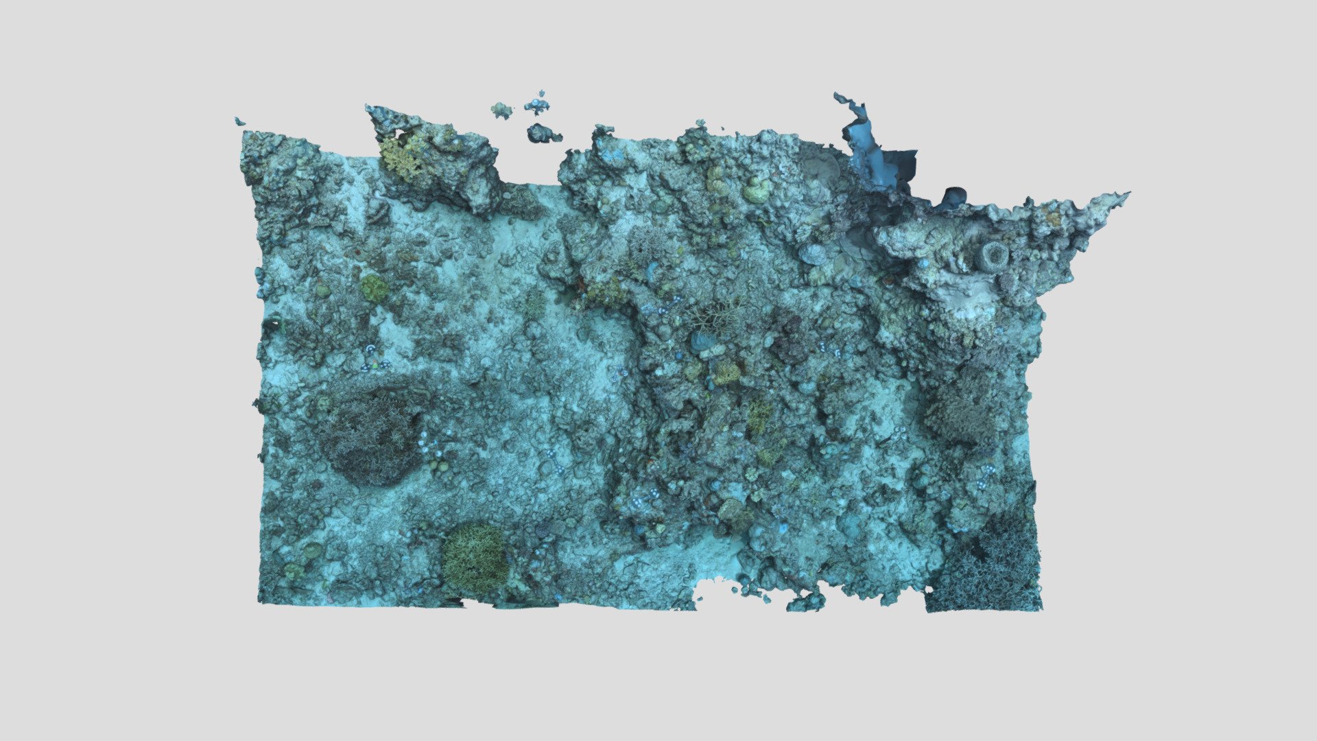 Davies_BA1D_P3_202201 - 3D model by EcoRRAP (@AIMSEcoRRAP) [6cf366f ...