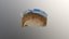 My cool 3D model - Download Free 3D model by officialmichaelgreen ...